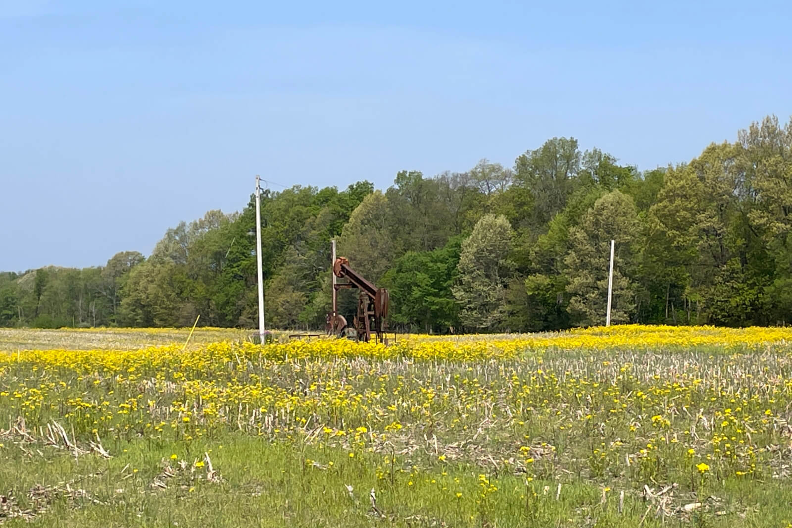 RWE begins onsite construction on its first utility-scale solar project ... RWE begins onsite construction on its first utility-scale solar project ...
