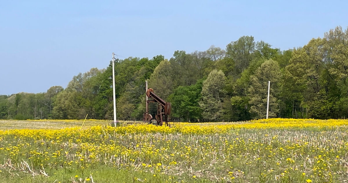 RWE begins onsite construction on its first utility-scale solar project ...
