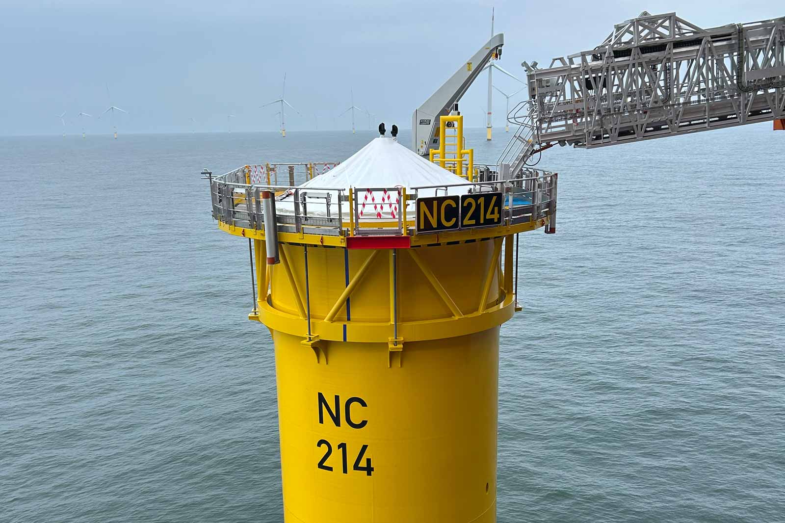 Nordseecluster offshore wind project reaches important milestone: first ...
