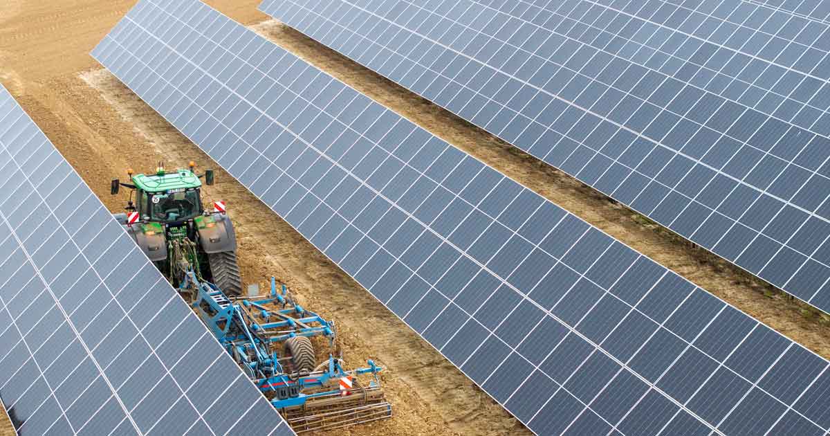 Electricity from the sun, growth from the soil: RWE opens agrivoltaics ...